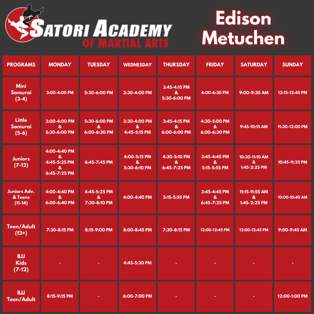 More Info | Satori Academy of Martial Arts - New Jersey